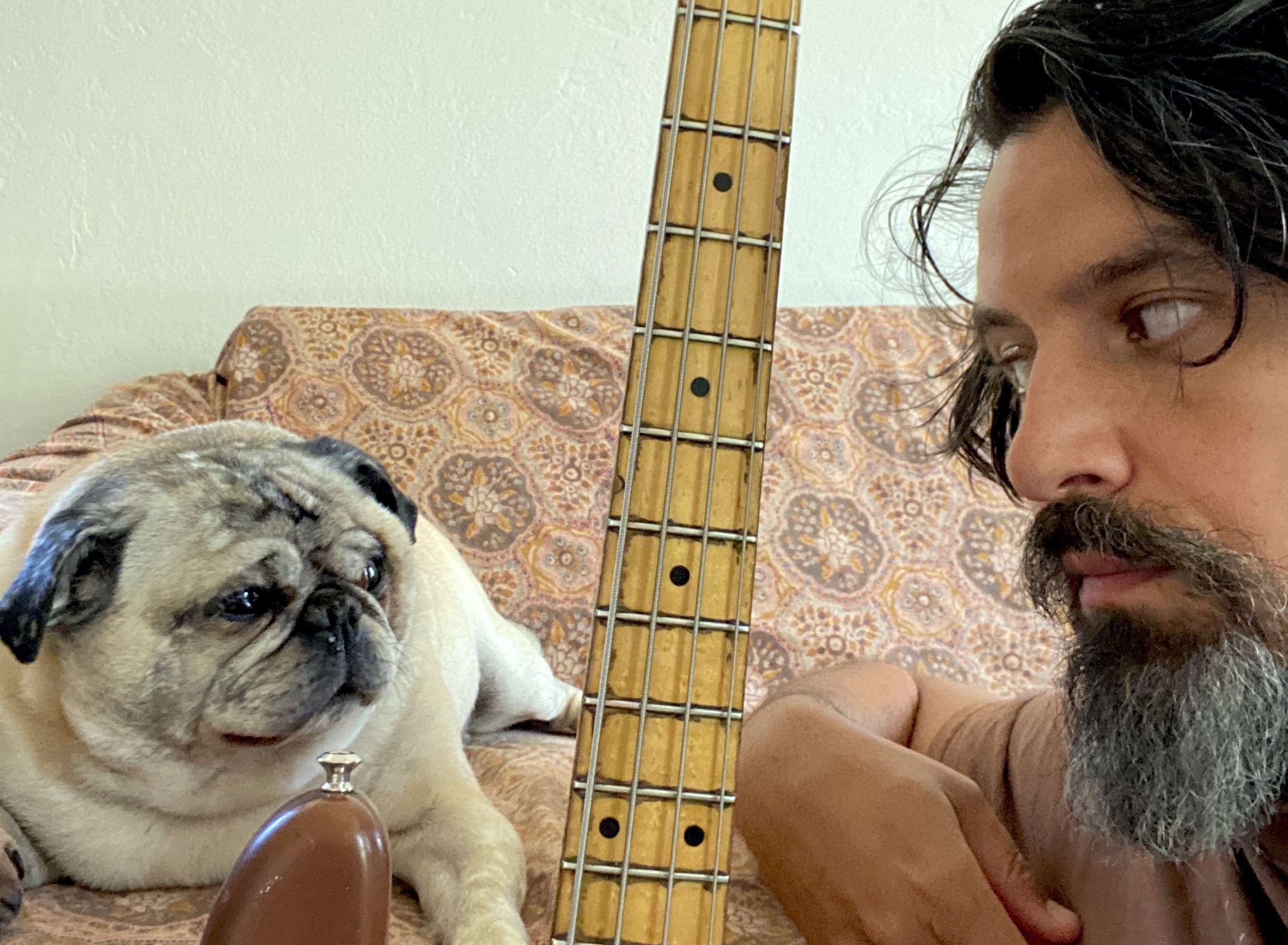 Bass Magazine Lockdown Check-In With Jonathan Hischke - Bass Magazine