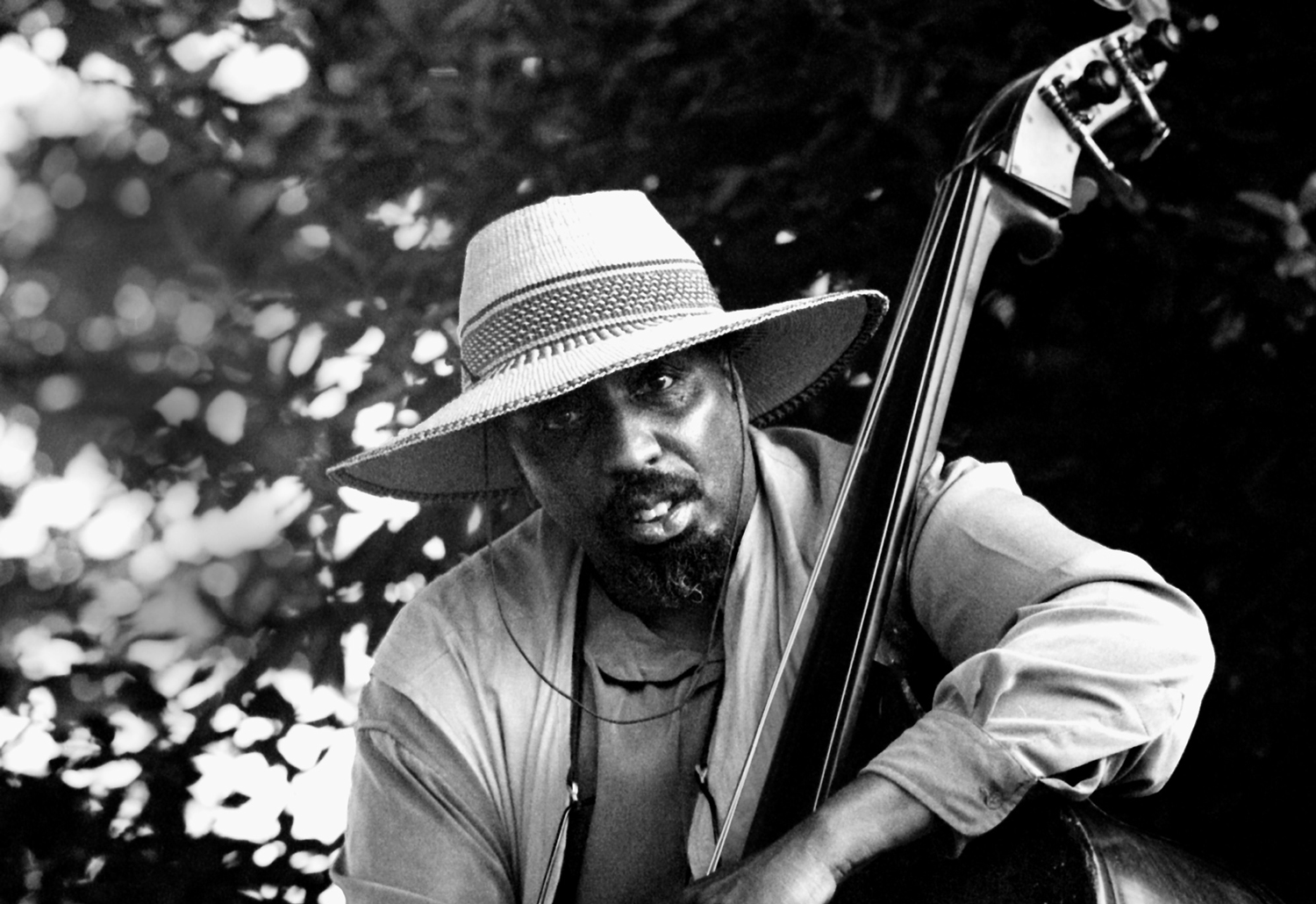 William Parker To Release Monumental Archival Set “Universal Tonality ...
